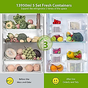 LUXEAR Fruit Vegetable Produce Storage Saver Containers with Lid & Colander 5 Packs BPA-Free Plastic Fresh Keeper Set | Refrigerator Fridge Organizer | for Salad Berry Lettuce Food Meat Fish Celery