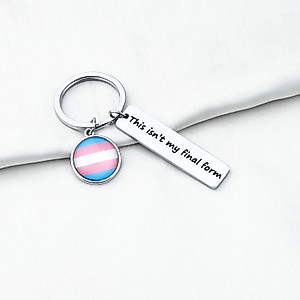 BAUNA LGBTQ Transgender Pride Key Chain Trans Flag Gift This Isn’t My Final Form Gay Pride Jewelry Gift (Transgender Keychain)