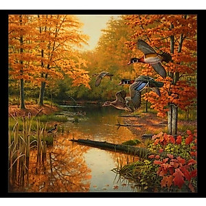 Elizabeth Studios 36"" X 44"" Panel Magical Season Ducks Ducklings Mallard Animals Birds Pond Fall Autumn Seasonal Black Cotton Fabric Panel (9206BLACK)