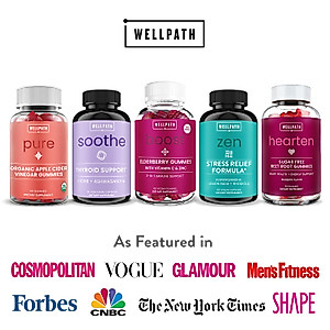 WellPath Boost Elderberry Gummies with Zinc & Vitamin C | Immune Support Supplement for Adults | Immunity Booster Vitamins | Sambucol Black Gummy | Non-GMO & Vegan, 60 Ct