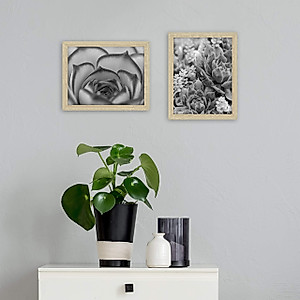 MCS Gallery Essential Certificate Document Frame Set, Gallery Wall Frames Fit 8.5 x 11 Diplomas, Documents & Certificates, Natural Woodgrain, 2-Pack