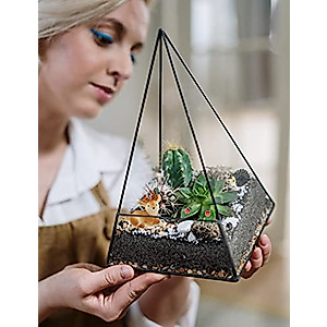 Eipoaks 300PCS Fairy Garden Accessories Outdoor, Miniature Fairy Garden Kit Micro Landscape DIY Ornaments for Home Garden Potted Plant Bonsai Terrarium Dollhouse Decor