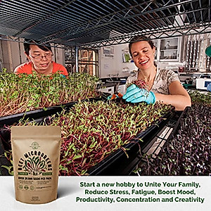 Beet Sprouting & Microgreens Seeds - Non-GMO, Heirloom Sprout Seeds Kit in Bulk 1lb Resealable Bag for Planting & Growing Microgreens in Soil, Coconut Coir, Garden, Aerogarden & Hydroponic System.