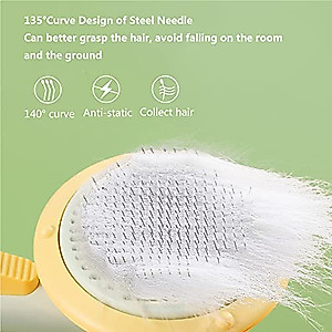 Cat Brush Self Cleaning Slicker Brush for Dogs Cats, Pet Grooming Brush Tool Removes Loose Undercoat, Mats, Tangled Hair