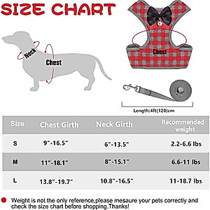 Pet Harness and Leash Set for Walking Small Cat and Dog Harness, Escape Proof Soft Vest Harnesses with Bell Bow, Easy Control Breathable Pet Safety Jacket & 1 Metal Leash Ring