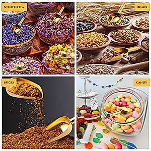 Roshtia 12 Pieces Gold Ice Scoops 5 oz Stainless Steel Mini Scoop Candy Scoops for Kitchen Dispenser Buffet Jars, Scooping Coffee Bean, Sugar, Flour, Spice