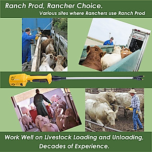 RANCH CHOICE Rechargeable Livestock Prod for Cows Electric Cattle Prod for Cow Dog prod Animal prod with Flexible Shaft (Total 43 INCH)