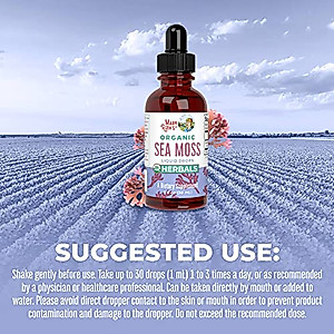 MaryRuth's Irish Sea Moss Liquid Drops | Sugar Free | SeaMoss for Gut Health and Immune Support | Formulated for Adults & Kids Ages 14+ | Unflavored | Vegan | Non-GMO | Gluten Free | 1 Fl Oz