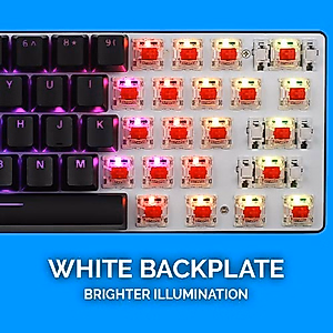 Whirlwind FX Atom 60% Gaming Keyboard: Interactive and Customizable Lighting – Immersive, Reactive RGB Experience (Blue Clicky)