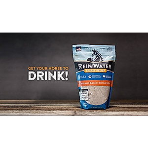 Redmond Rein Water Thirst Quencher for Dehydrated Horses, Electrolyte Mineral Drink Mix, 5 lb Bag