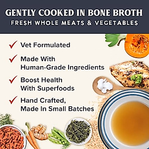 Health Extension Gently Cooked Chicken & Pumpkin Dog Food, (9 oz, 255 g) – Bowl Ready with Bone Broth, Omega-3s & Superfoods for All Life Stages (Case of 10 Pouches)