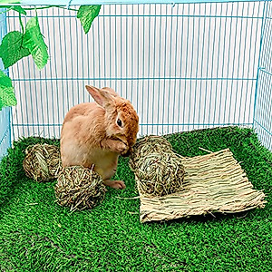 6PCS Bunny Chew Ball Toys,Rabbit Timothy Grass Grinding Gnawing Treats Rolling Ball & 2 Pcs Grass Woven Pet Mats for Bunny Rabbits Chinchilla Hamster Guinea Pigs Gerbils Activity Play Toys (H01)
