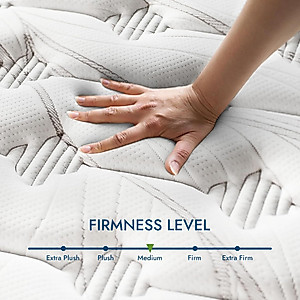 10" Queen Memory Foam Mattress & Cooling Mattress in a Box, Comfy Firm Mattress & Hybrid Mattress with Diamond Innerspring Hybrid & Cooling Gel Memory Foam, Pressure Relief and Support (10", Queen)
