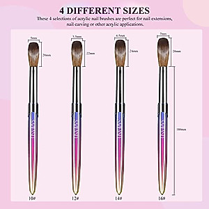 Saviland 4pcs Acrylic Nail Brush Set - Size 10/12/14/16 Acrylic Brushes for Nails, Gradient Handle Professional Acrylic Nail Brushes for Acrylic Powder Application, Nail Extension & 3D Nail Carving