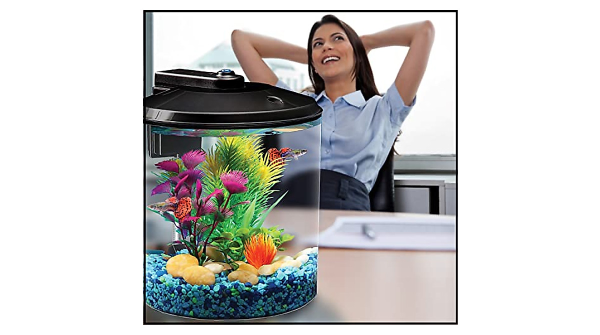 Koller AquaView 2-Gal 360 Aquarium | LED Light & Power Filter
