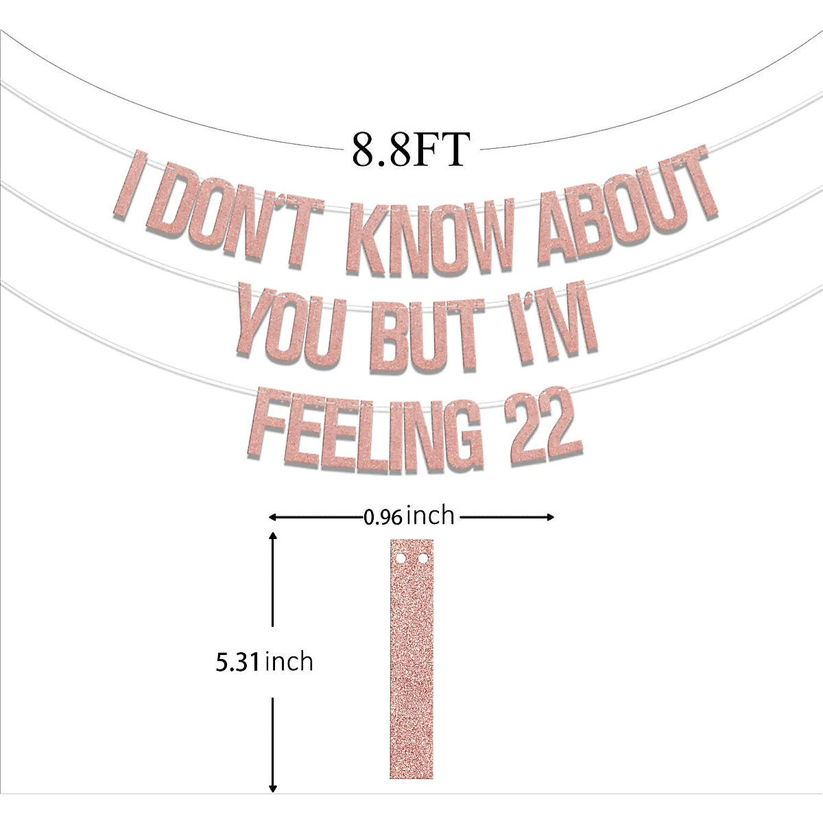 I Don't Know About You But I'm Feeling 22 Banner,I'm Feeling 22 Banner,22nd Birthday Party Decorations,Funny Happy 22nd Birthday Party Decor,Cheers to 22 Years Old Anniversary Party Supplies Rose Gold