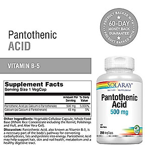 SOLARAY Pantothenic Acid 500mg | Vitamin B-5 for Coenzyme-A Production & Energy Metabolism | for Hair, Skin, Nails & Digestive Support | 250 VegCaps