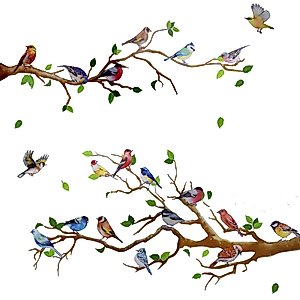 Maydahui Little Birds on Tree Branches Wall Decal Vinyl Wall Sticker (34 x 34 Inch) Removable Peel and Stick Art Murals Decor for Bedroom Offices Classroom Living Room Background