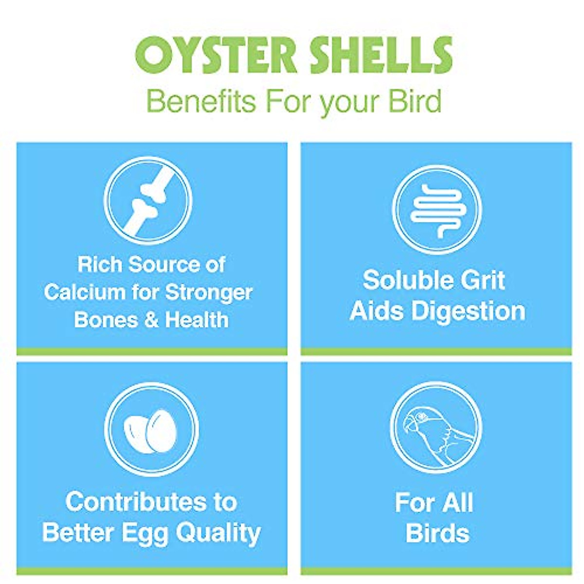 Oyster Shells, 15.5 Ounces