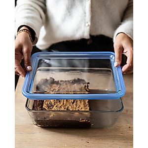 Pyrex Pure Glass – Rectangular Airtight Container with Lid 19 x 14 x 5 cm – 0.8 L, Transparent (5424004)