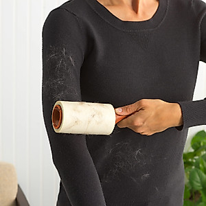 Evercare Gain Scented All-Purpose Lint Rollers, Orange, Pack of 3 (150 Sheets Total)