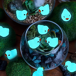 Tarpop 150 Pcs Luminous Tiny Ducks Mini Resin Ducks Miniature Duck Figures Micro Dollhouse Duck Accessories Landscape Gardening Decoration Ornaments (White)