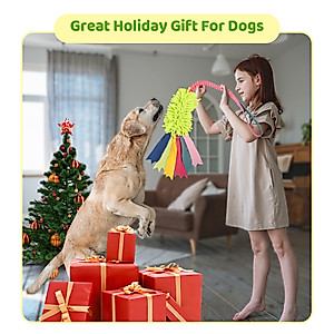 wodoca Dog Tug Toys Dog Toys for Aggressive Chewers Dog Rope Toy with Strong Squeak, Easy to GRAP Large Dog Chew Toy Ideal for Training for Puppy, Middle Dog Play, Dog Grinding Teeth