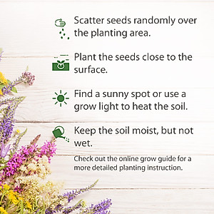 HOME GROWN 112,000+ Wildflower Seeds: Bulk Mix of 21 Varieties, Non-GMO Wild Flower Seed | Bee and Butterfly Garden Variety Pack | Annual Flowers Seeds for Planting |Native Wildflowers for Your Garden