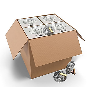 16 Versatile Wall Hooks for Hanging in one Box, Removable Adhesive Strips, Organize Clothes, Jewelry, Purse Hanger and Storage Organize, and More