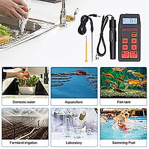 Water Tester, Accurate Measurement Automatic Calibration PH Tester Backlight 4 Digit Wide Application for Laboratory (PH ORP Electrode)
