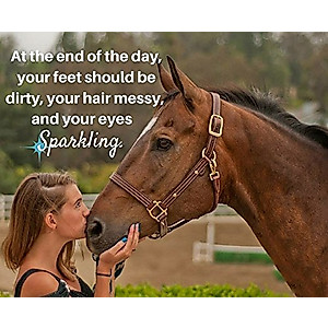 Nutrigood Senior Snax Horse Treats | Made with Omega 3 Fatty Acids, Biotin, and Glucosamine | 2 Pounds