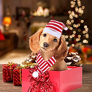 4 Pack Cat Santa Hat with Scarf Dog Christmas Hat and Scarf Striped Christmas Costumes for Small Dogs Cats