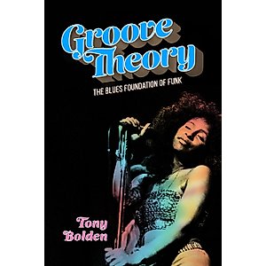 Groove Theory: The Blues Foundation of Funk (American Made Music Series)