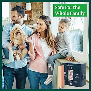 Catcher Labs Cedar Planks for Moth Repellent | Cedar Blocks for Clothes Storage | Better Than Moth Balls for Closet | Cedar Hangers Clothes Moths (10-Pack)