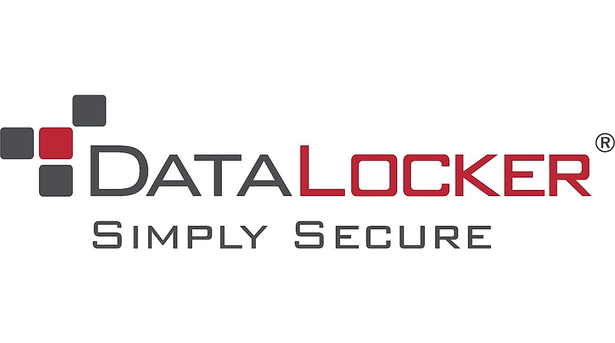 DataLocker Sentry K350 256GB Encrypted USB Drive - Rugged & Secure
