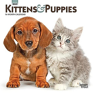 Kittens & Puppies | 2023 7 x 14 Inch Monthly Mini Wall Calendar | BrownTrout | Animals Cute Dogs Cats
