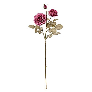 Tokyodo FM006532-012 MAGIQ Blanche Garden Rose, Orchid, Flower Diameter 2.8 - 3.9 x L 24.4 inches (7 - 10 x 62 cm), Pack of 1