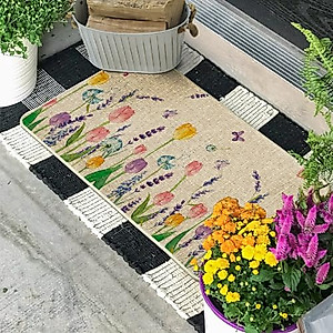 Artoid Mode Tulip Lavender Spring Decorative Doormat, Seasonal Flower Summer Holiday Low-Profile Rug Switch Mat for Indoor Outdoor 17x29 Inch