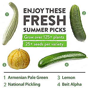 4 Cucumber Seeds Variety Pack - Cucumber Seeds for Planting - National Pickling, Beit Alpha, Armenian Pale Green, & Lemon Cucumbers to Plant Outdoors in Your Vegetable Garden