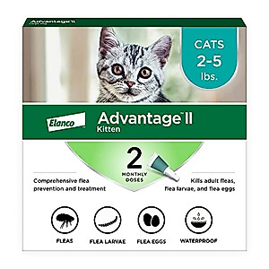 Advantage II Kitten Vet-Recommended Flea Treatment & Prevention | Cats 2-5 lbs. | 2-Month Supply