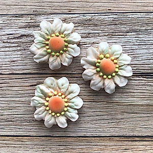 LILIAO Easter Platter Cookie Cutter Set - 7 Piece - Stainless Steel - by Janka