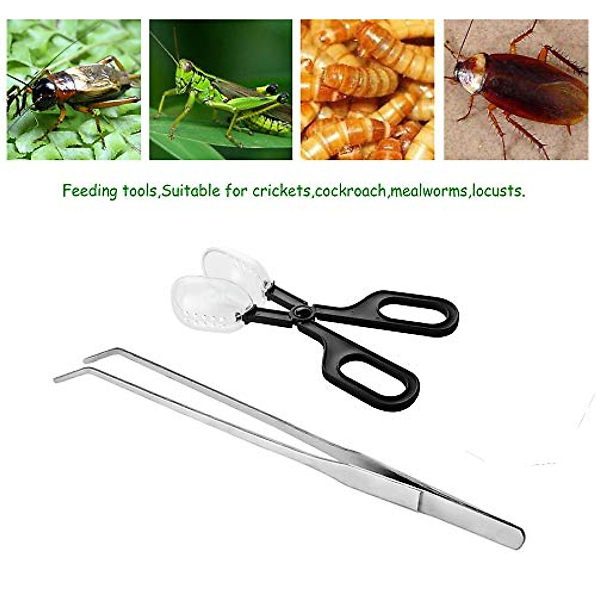Reptile Feeding Tool Set,Feeding Clip and Long Tweezers for Hamsters,Insects,Turtle,Snake,Spider,Frog,Gecko,Chameleon and Other Small Animals