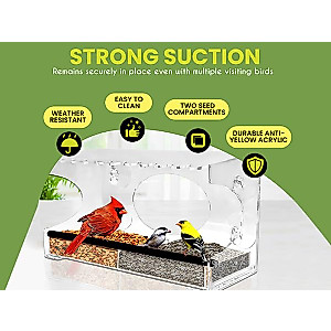 Large Clear Window Bird Feeder - Extended House with Strong Suction Cups - Steel Perch Sliding Feed Seed Tray - See Through Transparent Big Birdhouse - Wild Finch, Cardinal, Blue Jay - Cool Cat Gift
