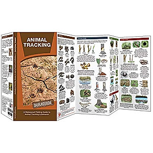 Animal Tracking: A Folding Guide to Animal Tracking & Behavior (Outdoor Recreation and Survival)