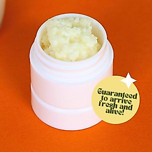 Simply Life Probiotics Milk Kefir Grains,Turkish Strain, Pajaritos de Leche, Bulgaros, Homemade Kefir, Live Probiotics