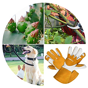 Mixbird Thick Leather Garden Gloves - Thorn Proof, Animal Biting & Scratching Protection, Tool & Working Gloves