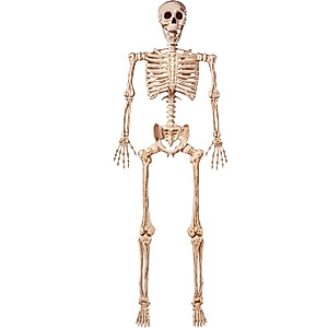 JOYIN 67 Inches Life Size Skeleton Full Body Realistic Human Bones with Posable Joints for Halloween Pose Skeleton Prop Decoration, Indoor and Outdoor Use