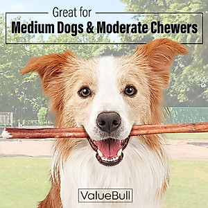 ValueBull Bully Sticks for Dogs, Medium 12 Inch, 50 Count - All Natural Dog Treats, 100% Beef Pizzles, Single Ingredient Rawhide Alternative