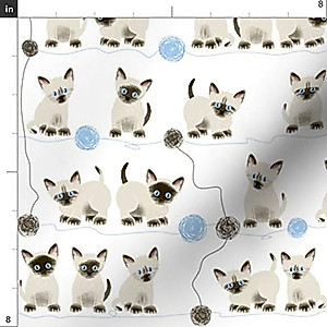 Spoonflower Fabric - Siamese Kittens Balls Kitten Playful Cat Cute Printed on Petal Signature Cotton Fabric by The Yard - Sewing Quilting Apparel Crafts Decor