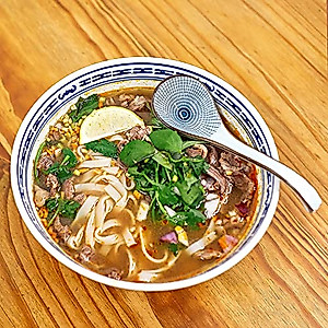 JOBNTZ Asian Soup Spoon,Ceramic Ramen Spoon,6.4inch Japanese Pho Spoon with Long Handle for Miso,Dumpling,Noodles,Wonton (Blue and White Porcelain, Set of 4)